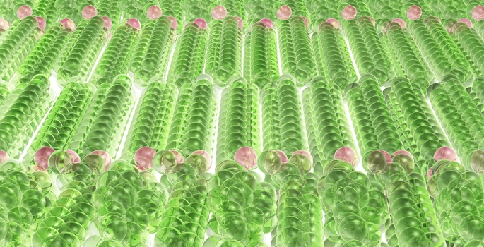 Basic molecular structure of human skin – Lars Norlén's research ...