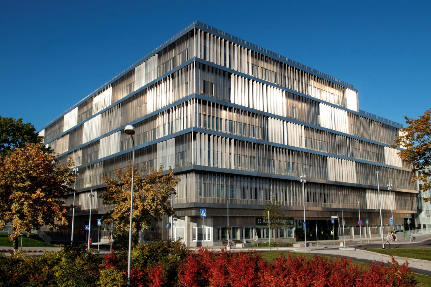 Arytmi – Johan Engdahl's forskargrupp | Karolinska Institutet