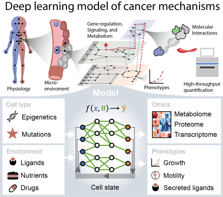 Deep learning models of cancer mechanisms – Avlant Nilsson's Group ...