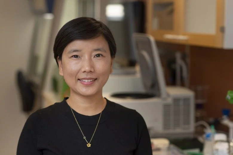 The Eric K. Fernström Prize | Karolinska Institutet