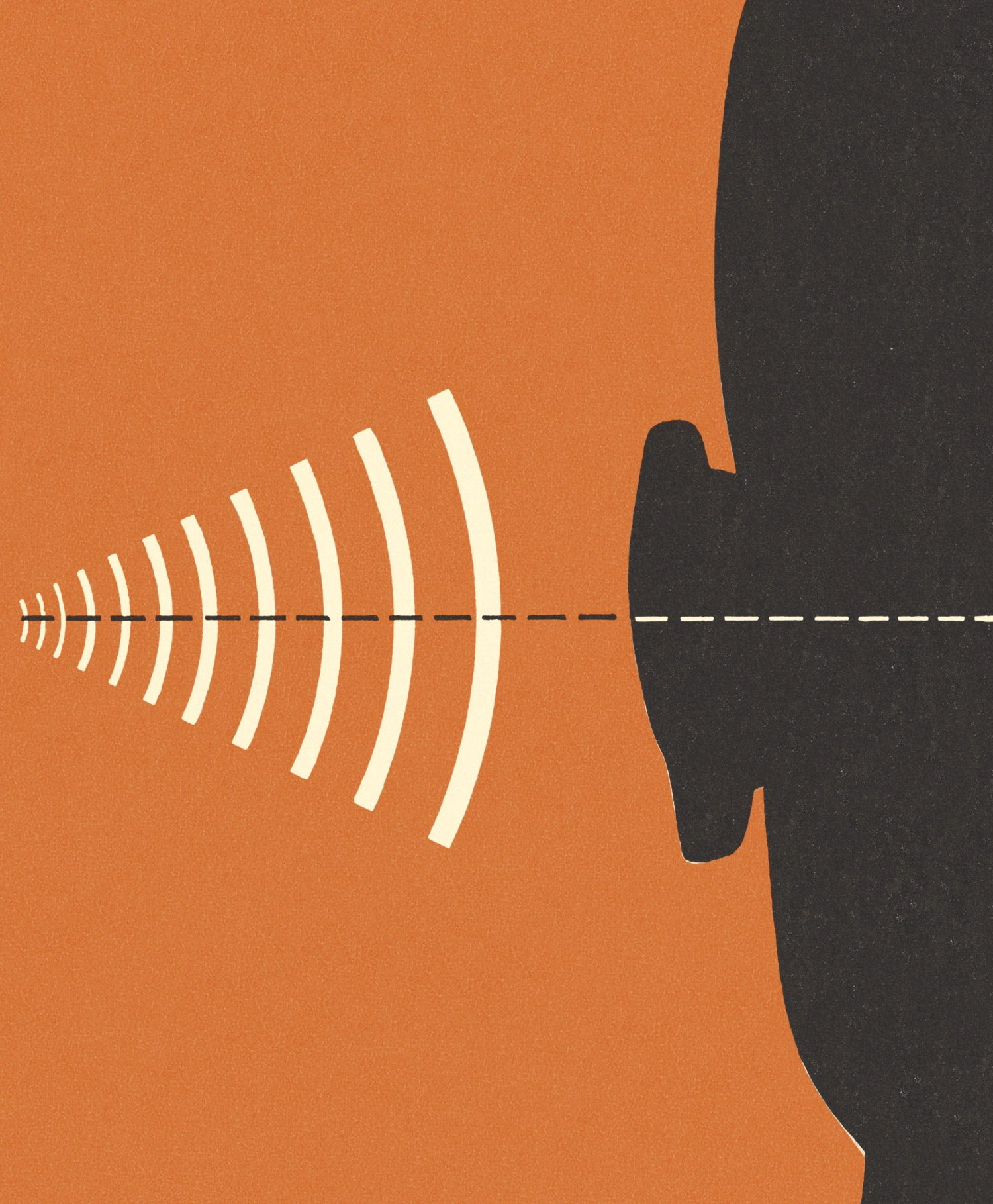 Translational Auditory Neuroscience – Christopher Cederroth's research ...