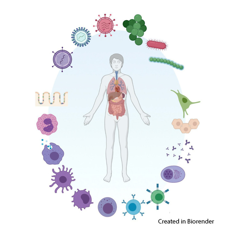 Research at the Center for Infectious Medicine (CIM) | Karolinska ...