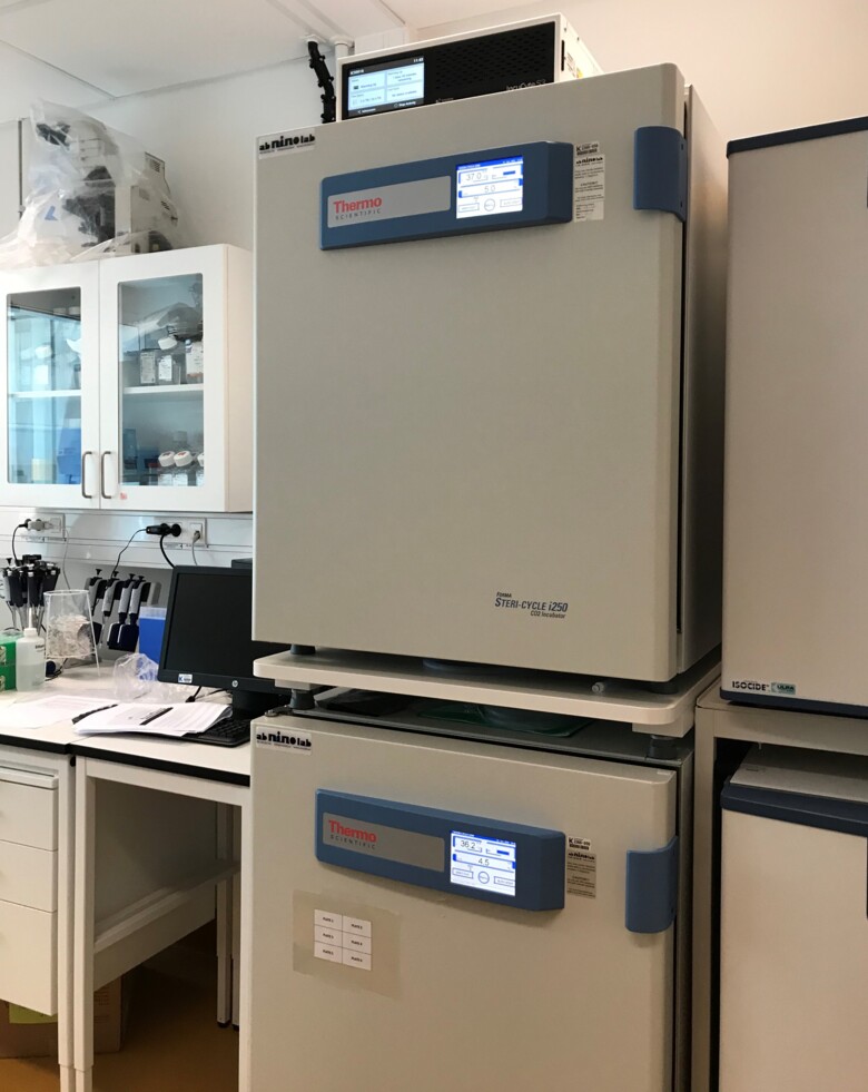 IncuCyte live cell analysis system | Karolinska Institutet