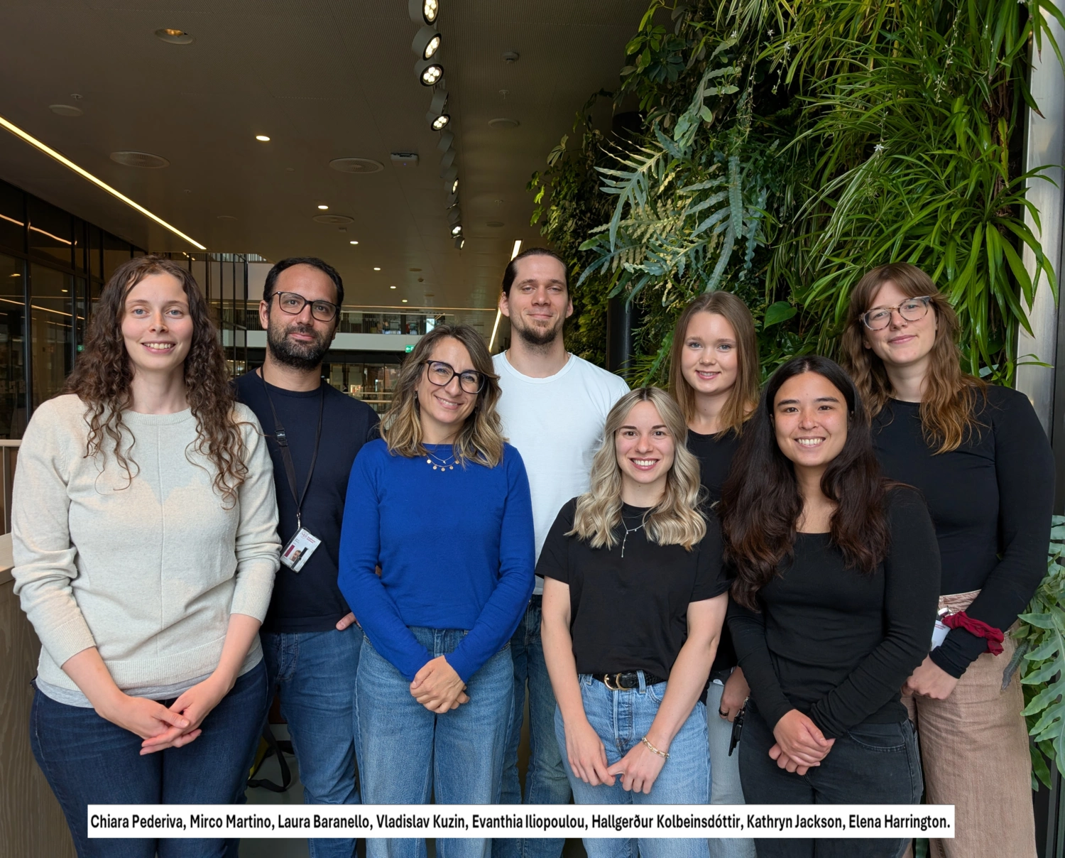 Topoisomerases, chromatin biology and cancer – Laura Baranello's ...