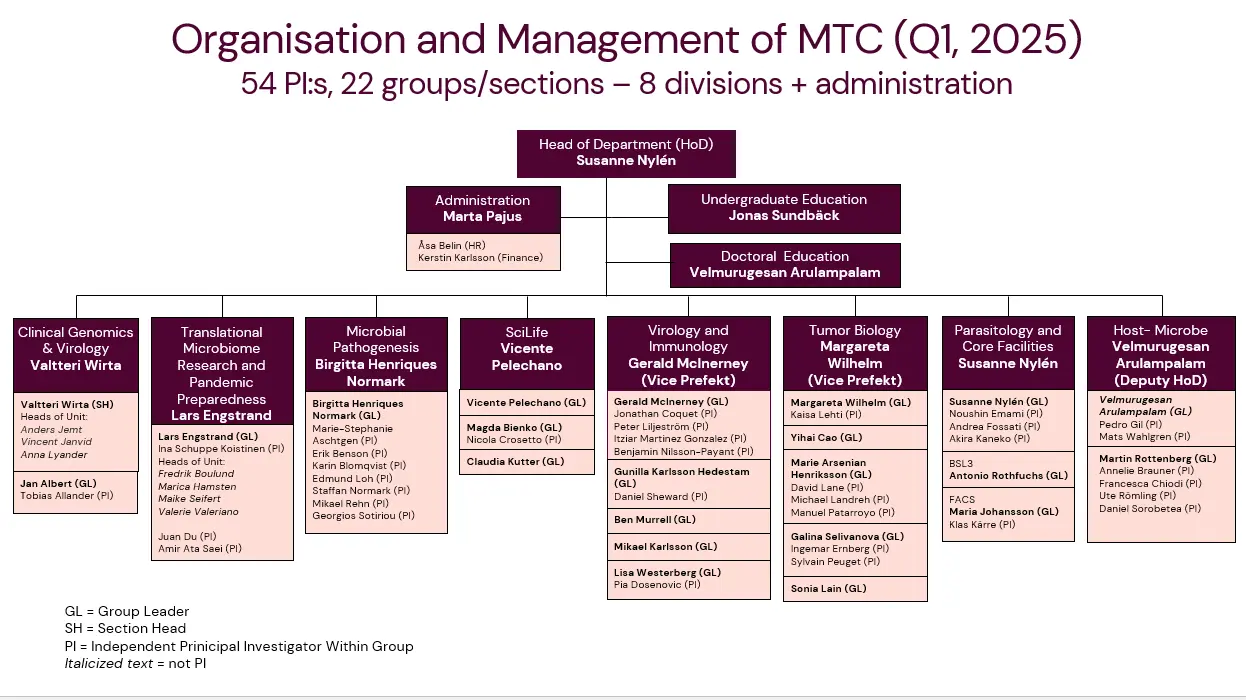 Organisation and management at MTC | Karolinska Institutet