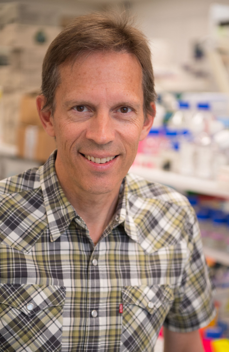 The challenge: Find the best research | Karolinska Institutet