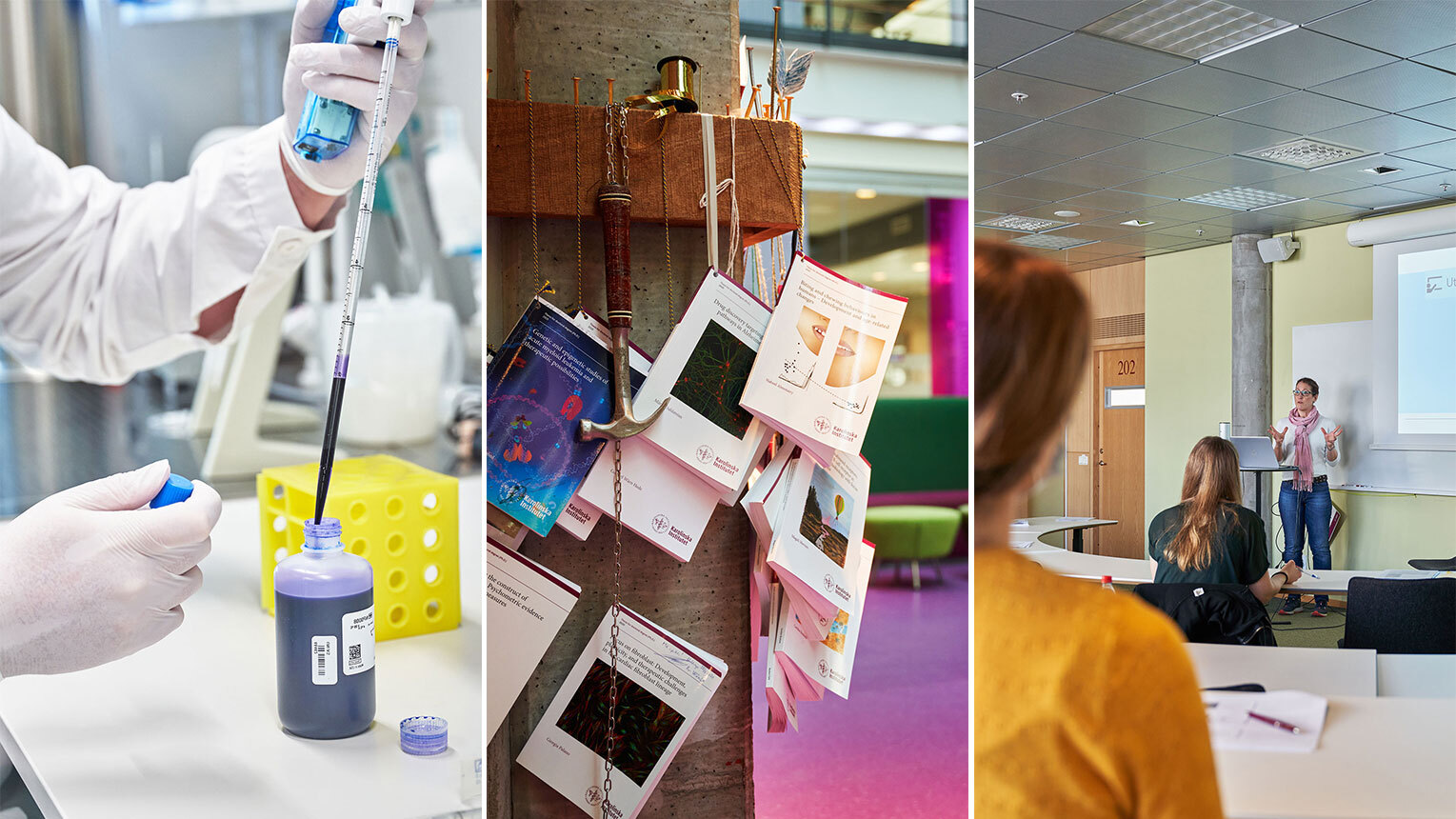 About Karolinska Institutet | Karolinska Institutet