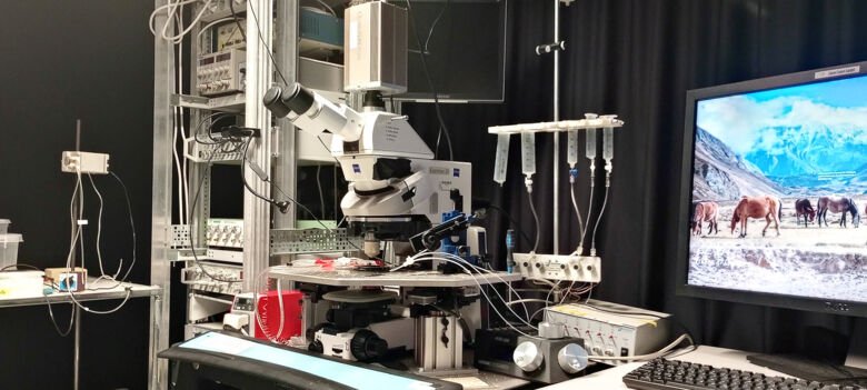 Widefield Microscopes at BIC | Karolinska Institutet