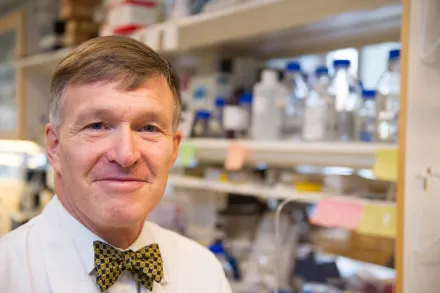 Cancer Research KI | Karolinska Institutet